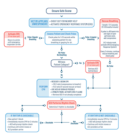 ProMed Certifications Algorithms | Pediatric BLS Two Rescuer Algorithm