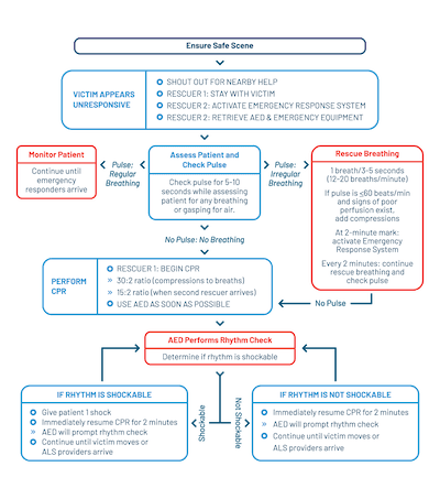 ProMed Certifications Algorithms | BLS Adult Cardiac Arrest Algorithm
